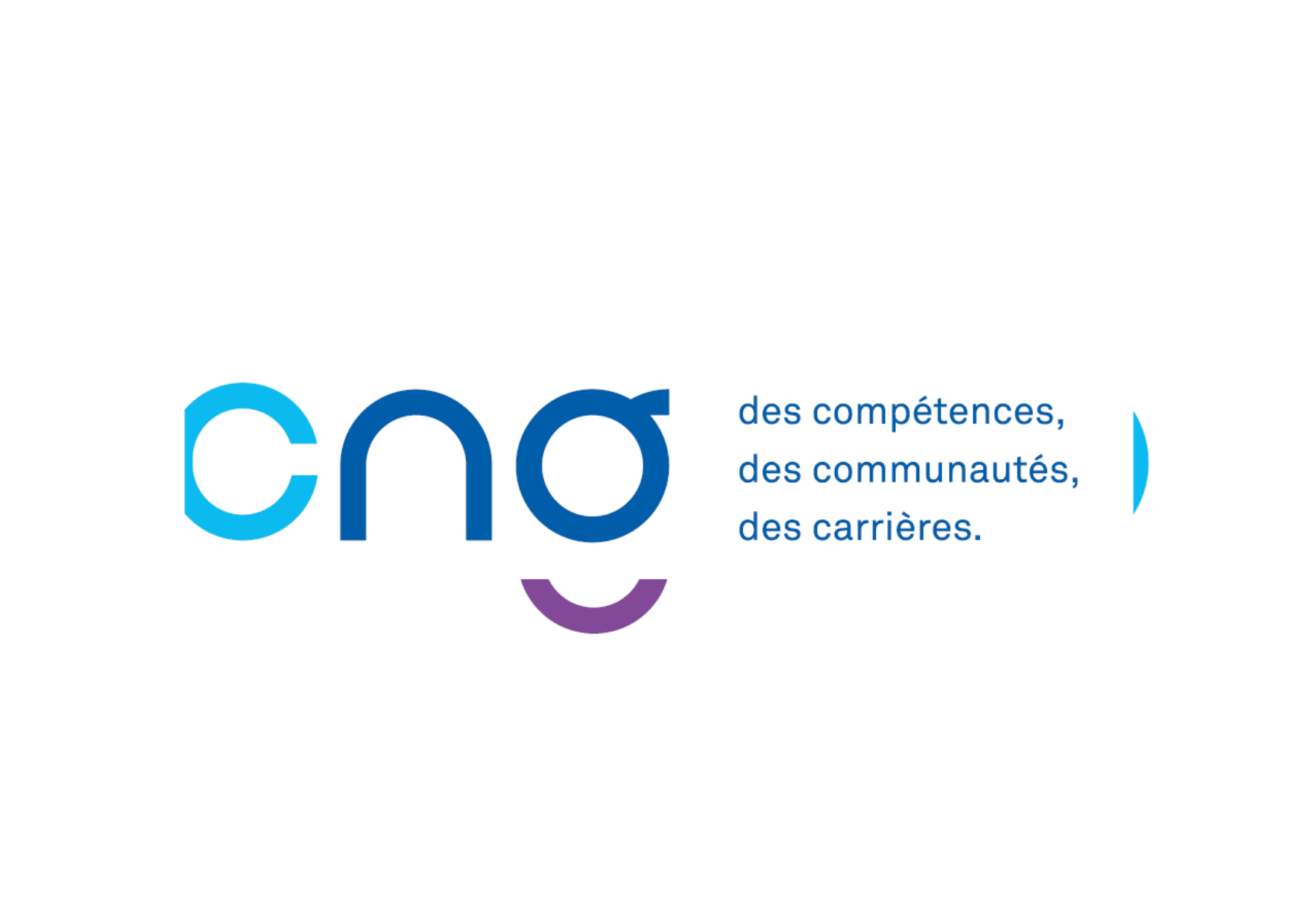 Accueil | SNGC - Syndicat National de Gérontologie Clinique